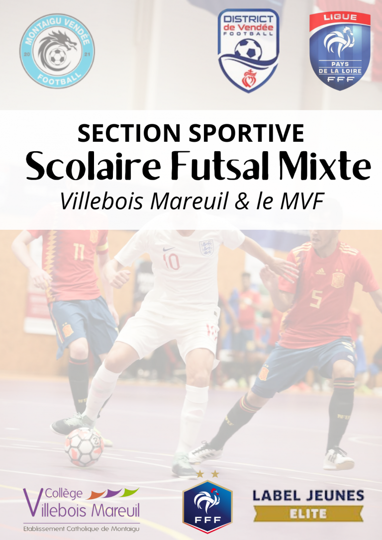 Section Sportive Futsal Collège – DISTRICT DE VENDÉE DE FOOTBALL